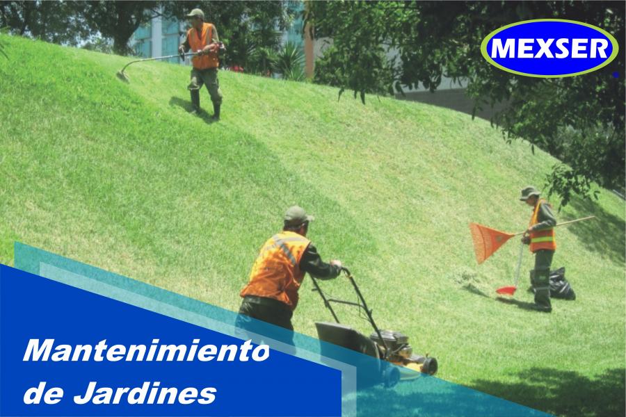 Atención a Clientes - Mexser Monterrey